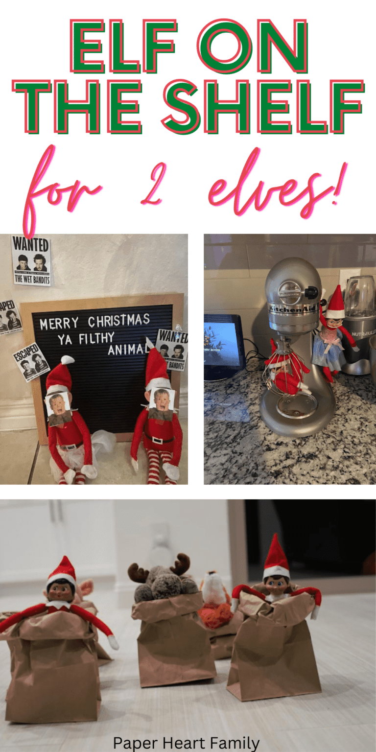 18 Inspiring Elf on the Shelf Ideas for 2 Elves