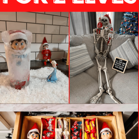 38 Fantastic Elf on the Shelf Arrival Ideas