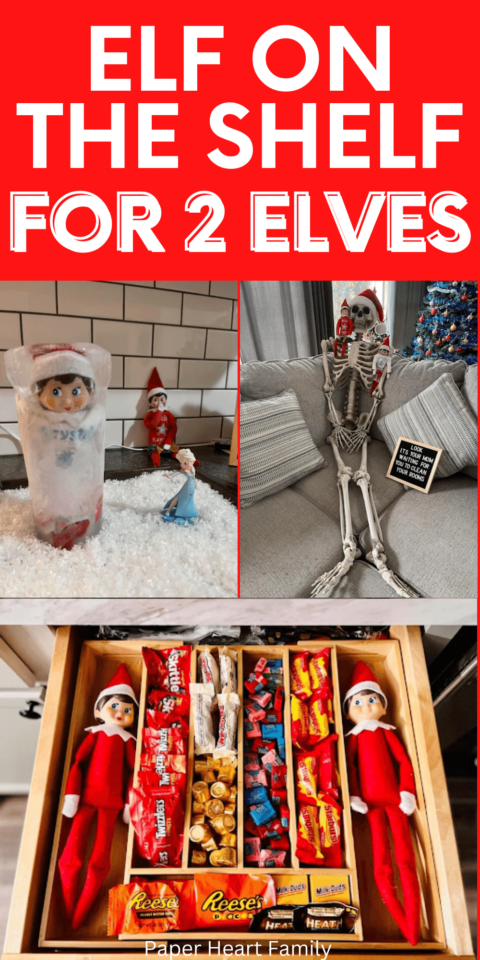 18 Inspiring Elf on the Shelf Ideas for 2 Elves