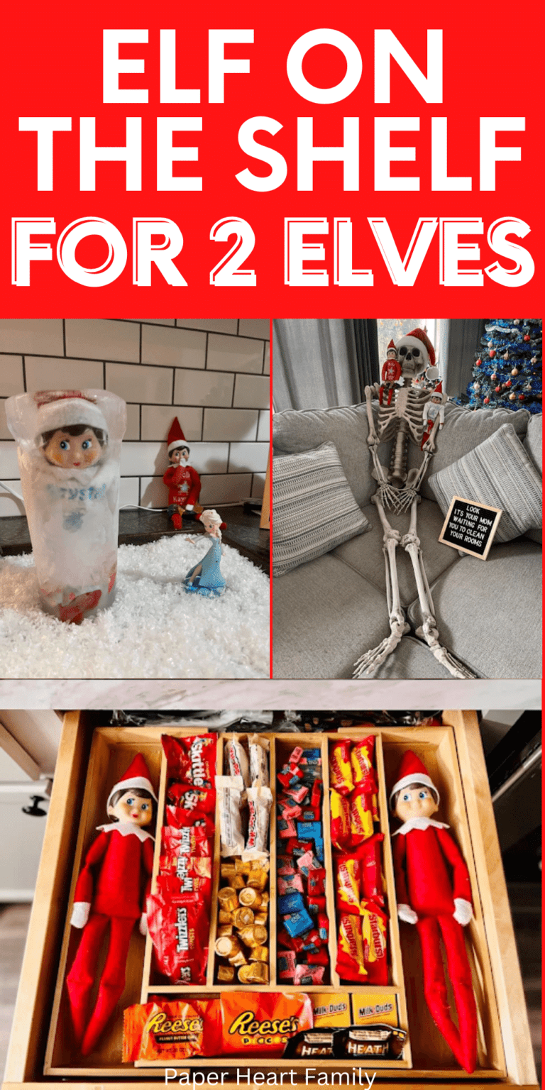 18 Inspiring Elf on the Shelf Ideas for 2 Elves