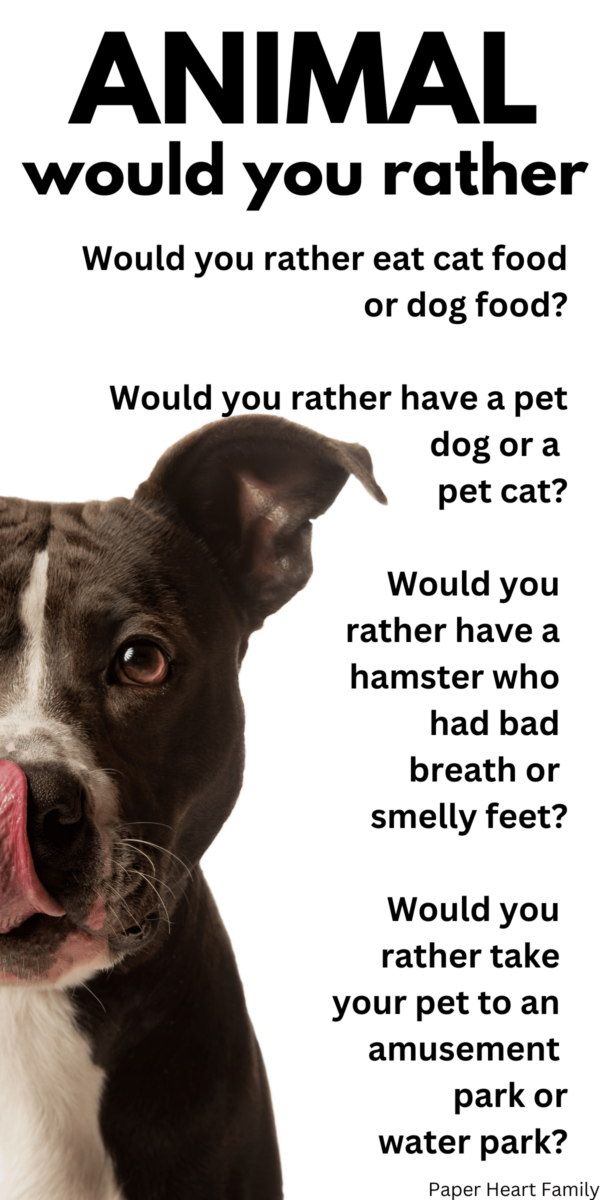 150 Best Animal Would You Rather Questions For Kids